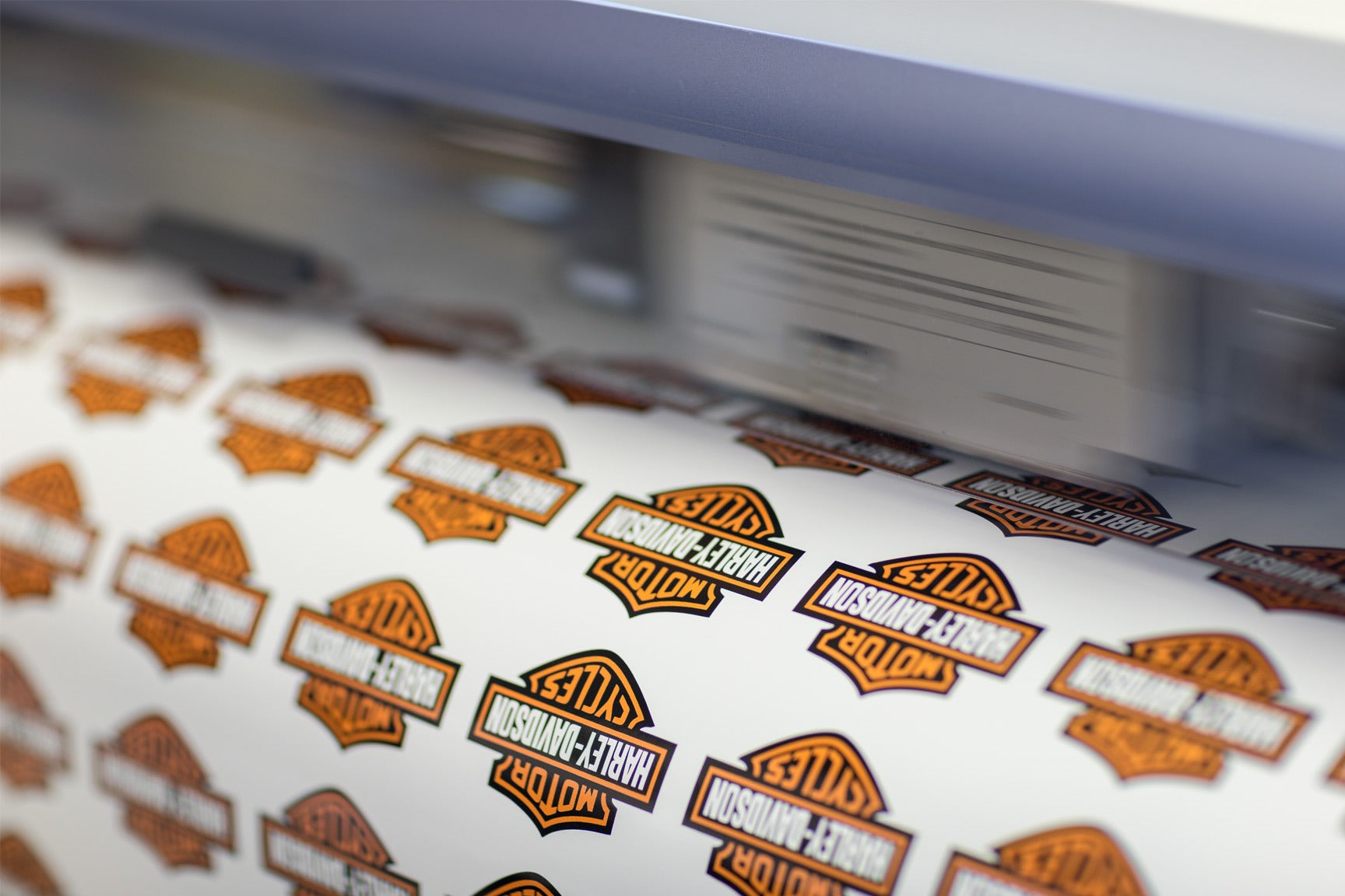 Monomeric Vinyl and Print Media | Pozitive